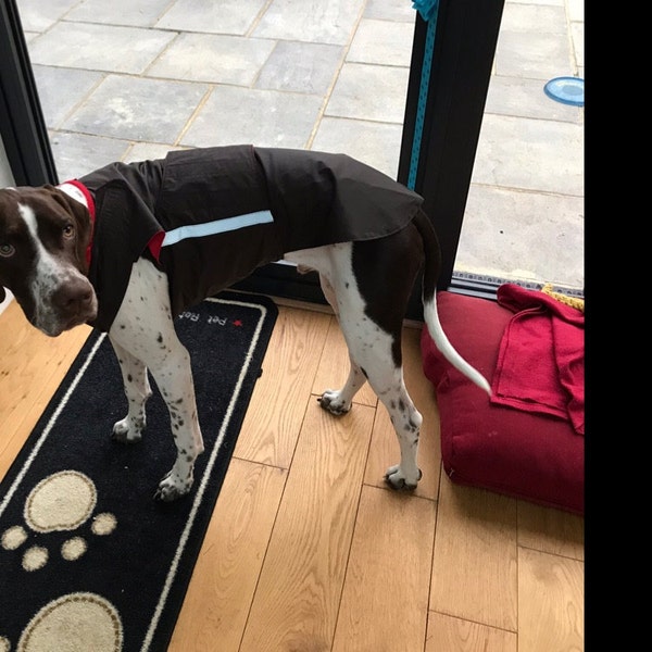 German Pointer Dog Raincoat - Dog Jacket - Custom Dog Coat - Waterproof ...
