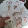 Animal Alphabet Flash Cards Watercolor Animals ABC - Etsy