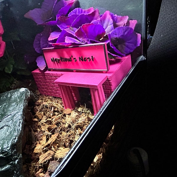 Custom Reptile Hide/snake Hide/ Gecko Hide/customizable - Etsy