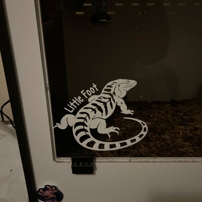 Argentine Tegu Vinyl Monitor Decal Cute Lizard Reptile Sticker - Etsy