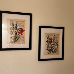 Flower Themed Dictionary Prints - Etsy