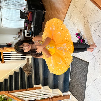 Pink Dew Drop Fairy Ballet Costume - Etsy