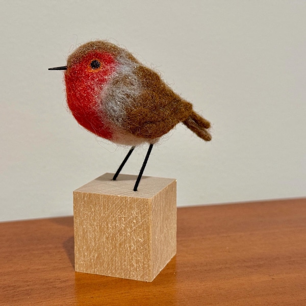 Felt and Dandy Dancing Bear Needle Felting Kit - Etsy