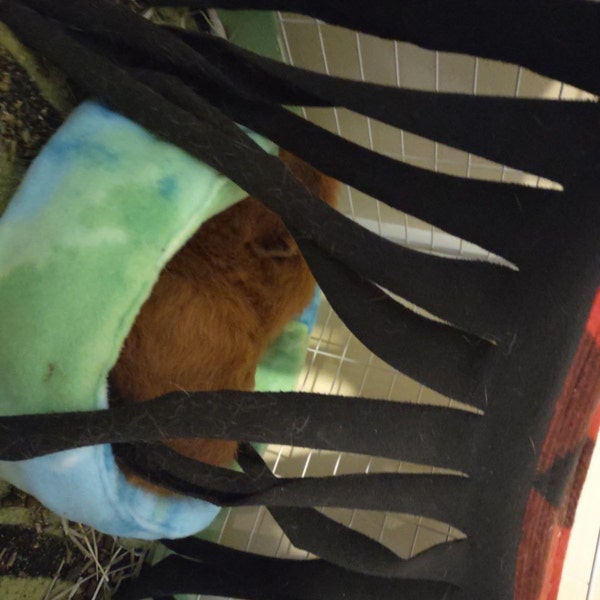 Cozy Cuddle Cube 10 for Guinea Pig and Small Animals - Etsy