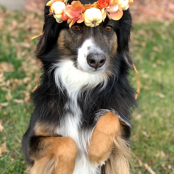 Coffee Bar Decor, Farmhouse Home Decor, Hostess Gift for Friend ...