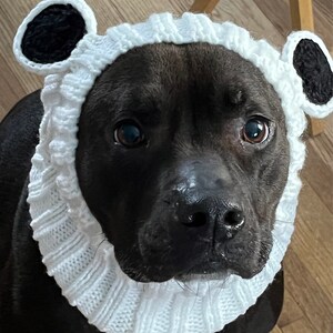 Panda Dog Snood Knit Crochet Dog Hat Easter Dog Costume Ear Warmer - Etsy