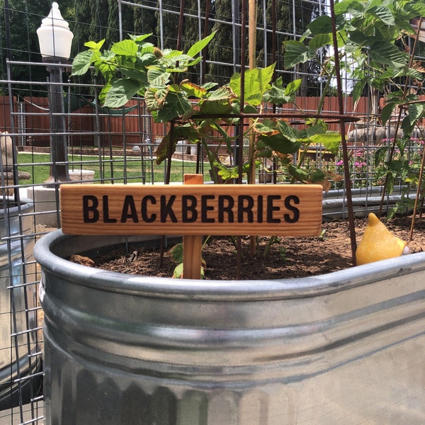 BLACKBERRIES Garden Sign, Summer Berries, Hand Routed Plant Marker ...