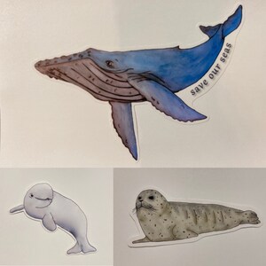 Shark Affirmation Sticker Set Mako Shark Great White Shark - Etsy