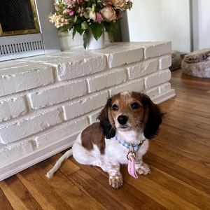 FLUFF Fluffy Lining / Colour Change - Etsy