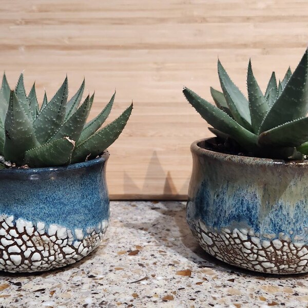 Ocean Coral Succulent Planters - Small Pottery Planter - Mini Succulent ...