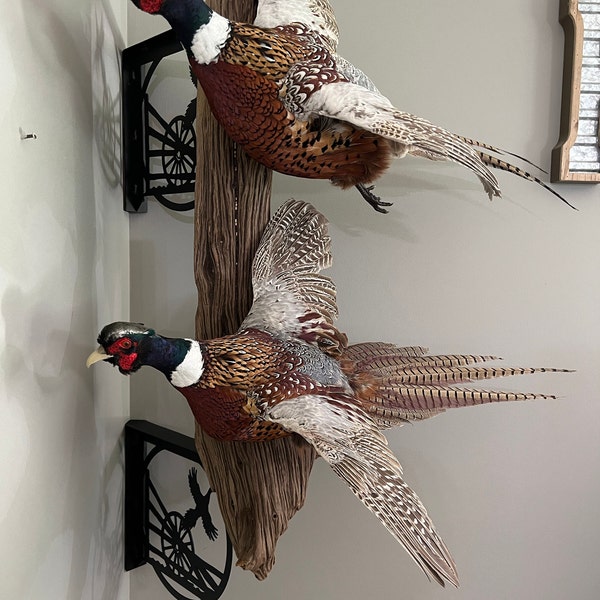 Stained Glass Hummingbird Garden\flower Pick - Etsy