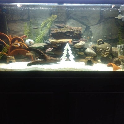 Silver Medley Rock / HD Stone Aquarium Background Rocky Fish Tank ...