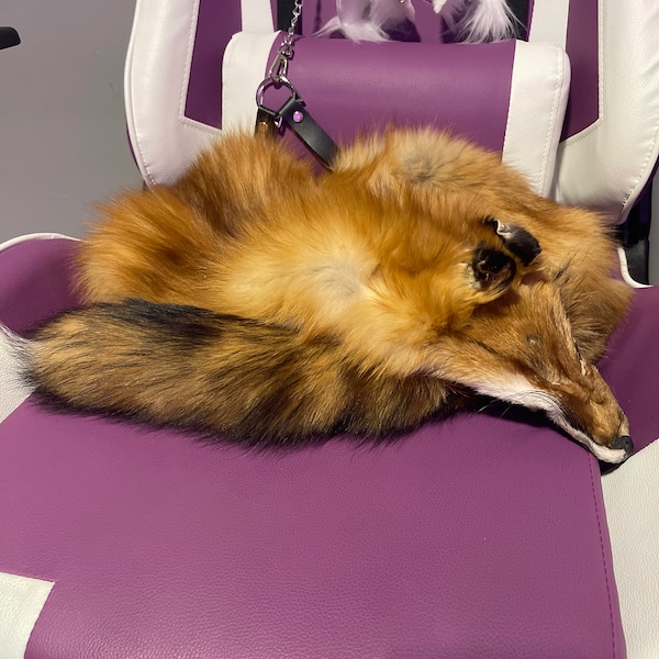 Professionally Tanned #1 Grade Red Fox Hide/pelt - Etsy