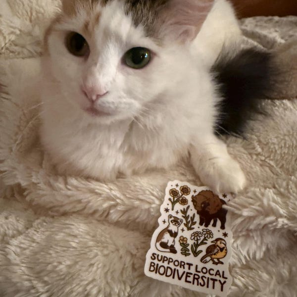 Support Local Biodiversity Clear Vinyl Stickers | Appalchia, Midwest ...