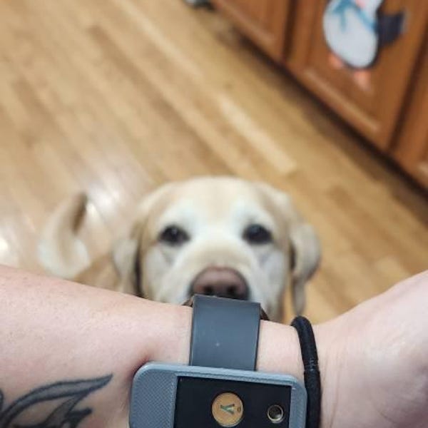 Version 2.0 Watchband Yubikey 5 NFC Holder - Etsy