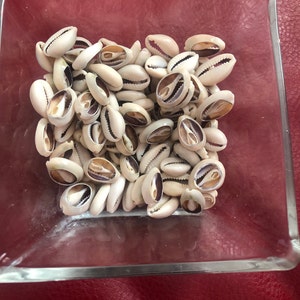 Cowrie Shell Flower Necklace Macrame Hemp Choker Handmade | Etsy