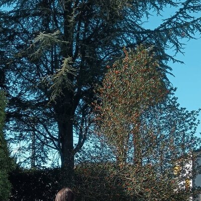 Red Greek Goddess Dress Boho Bridesmaid Dress Evening Cocktail Belted ...