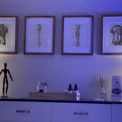 Esthetician Skin Anatomy Art Foil Print Set of 3 Dermatologist Gift ...