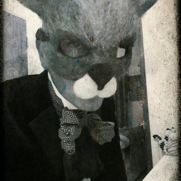 Peacock Mask, Masquerade Party Mask, Needle Felted Mask, Cosplay ...