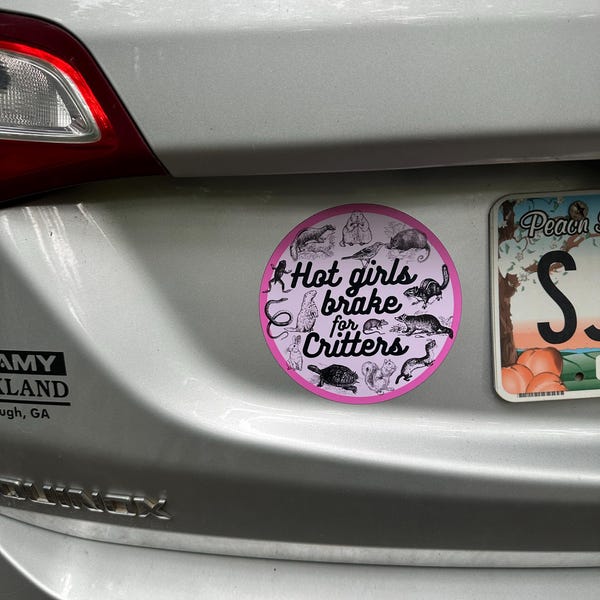 Hot Girls BRAKE FOR CRITTERS | Bumper Magnet | Vinyl Car Magnet | Gen Z ...