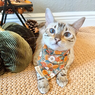 Toads and Mushrooms, toadally Fungi Cream Velvet, Forest, Reversible ...