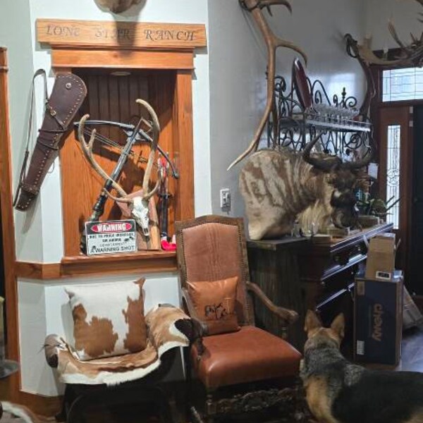 Pistol Waist Case, Brown Western Rig Ammo Belt With Holster Pistol ...