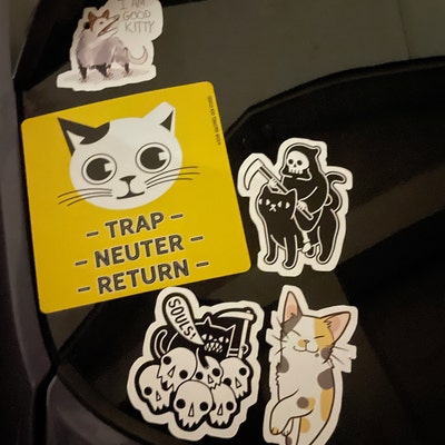 TNR Cat Tee Shirt Trap Neuter Return Grey Slim Fit - Etsy