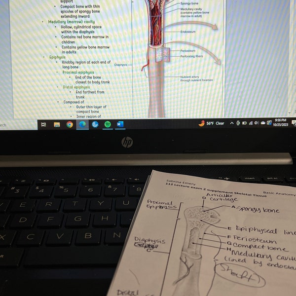 Printable File - Duolingo Practice Pack for Note Taking Apps - Etsy