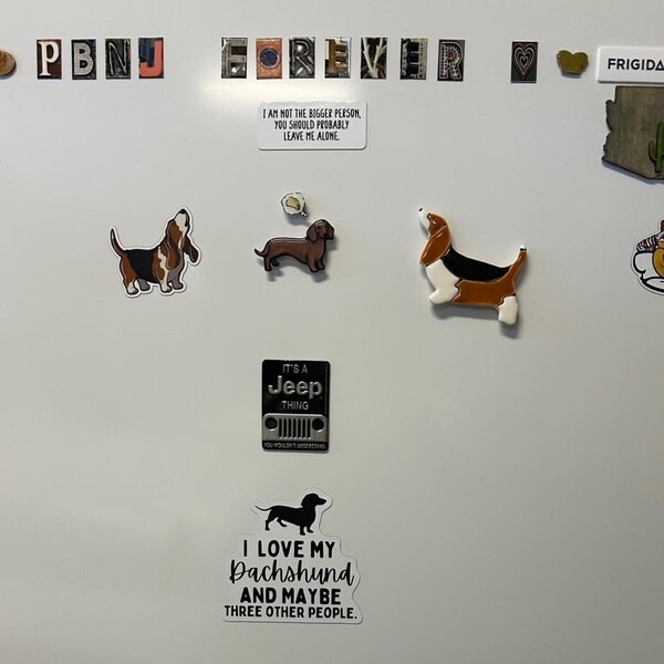 Pangea Bumper Sticker, Geology Bumper Sticker, Reunite Pangea, Bumper ...