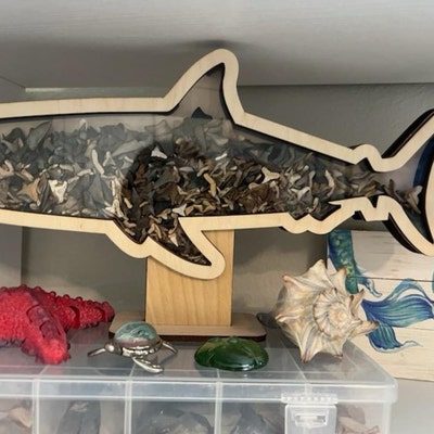 Shark Teeth Shadow Box for Shark Teeth, Small Shells, Fossils, Agates ...