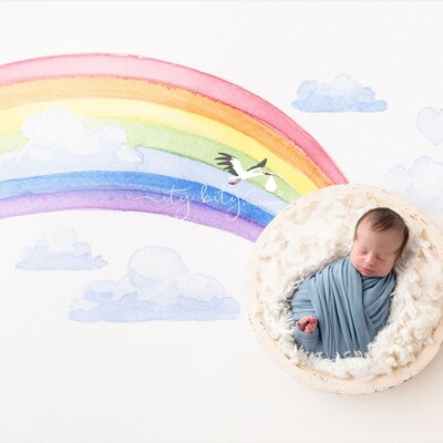 Backdrop for Rainbow Babies, Newborn Photography, Digital Background ...
