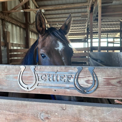 Personalized Horse Stall Name Plates - Etsy