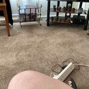 Rose 'fantastic at 60' Happy Birthday Rose Gift Wrapped With Huge Bow ...