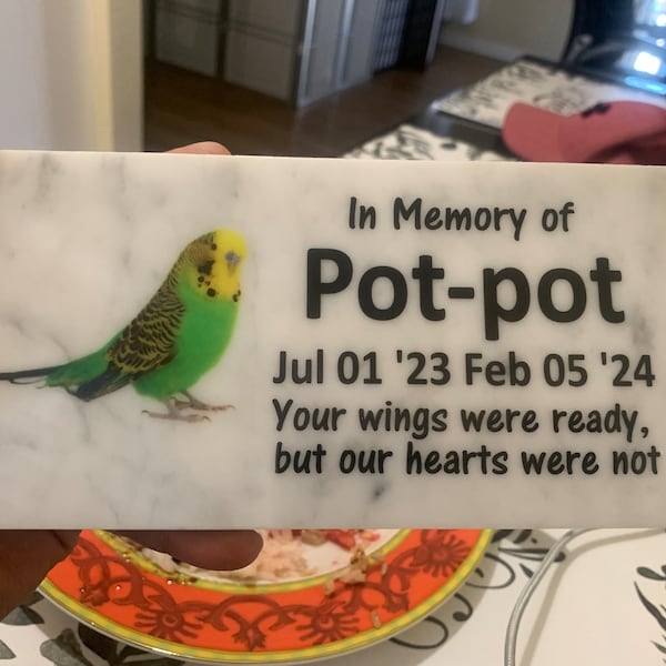 Parakeet Memorial Stone- Choice of Parakeet Color - Personalized Bird ...