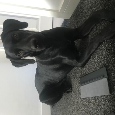 Funny Dungeons and Dragons Inspired Birthday Card Level Up Add 1 to ...