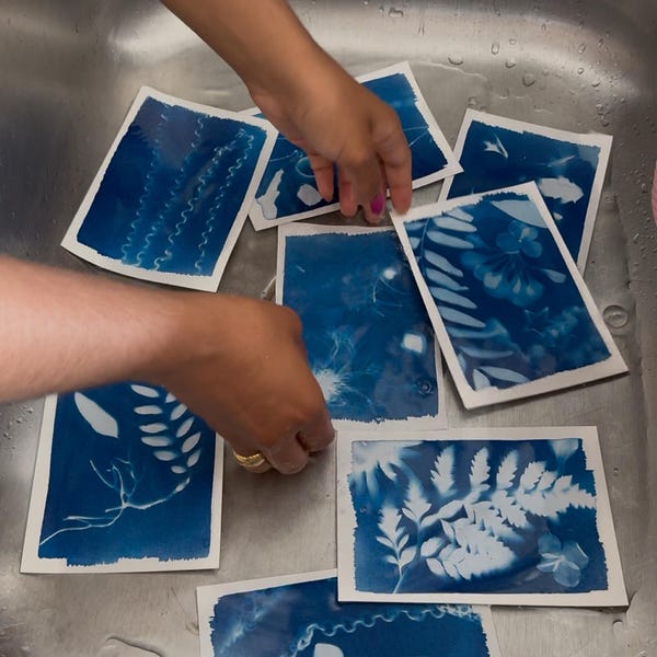 Cyanotype Stencils, Cyanotype Kit Just Stencils, Pressed Flowers ...