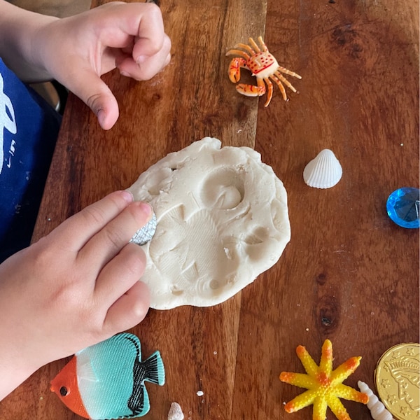 Under the Sea Play Dough Kit, Ocean Playdough Kit, Kids Gift, Ocean ...