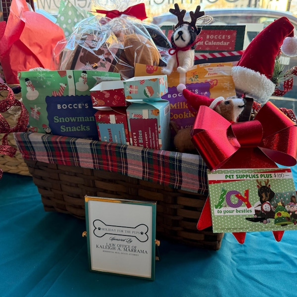 Cupcake Snuffle Mat Dog Toy, Pet Toy, Interactive, Mental Exercise, Pet ...