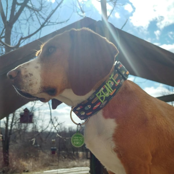 Dog Collar, Embroidered Dog Collar, Personalized Dog Collar, Fish Dog ...