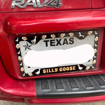 Insects Beetle Moth License Plate Frame Vintage Cottagecore - Etsy