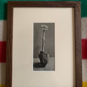 A4 Walnut Photo Frame - Etsy