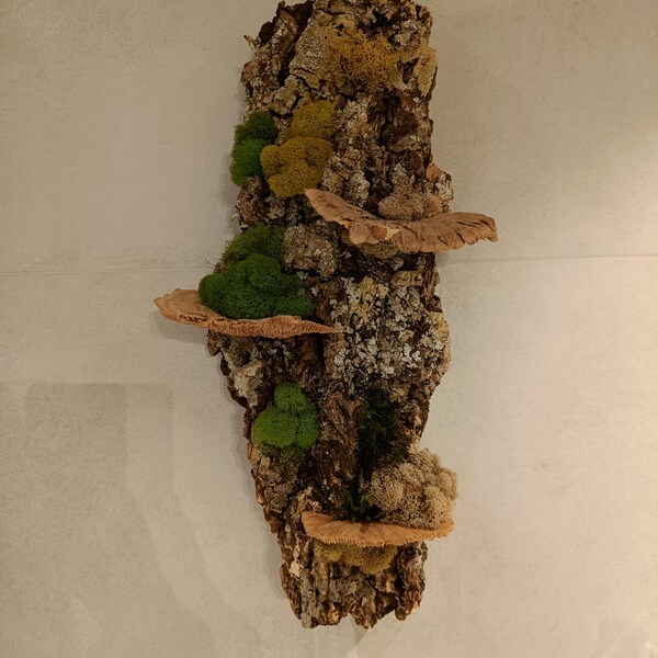 Floating Forest Trio Moss Wall Art, Wall Decor, 3 Cork Bark W ...