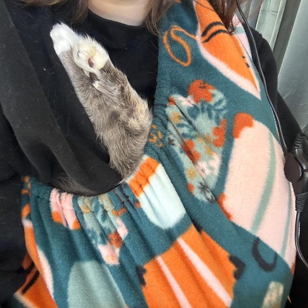 Critter Cuddler™ Small Animal Bonding Sling Pet Carrier for Kittens ...