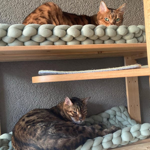 Cat Cave/dog Cave/eco/cat House/dog House/cuddle Cave/catcave/dogcave ...