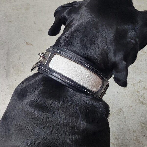 Bestia™ Genuine Leather hektor Harness. Rivet Design. Soft Padded With ...