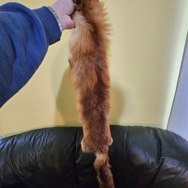 Professionally Tanned #1 Grade Red Fox Hide/pelt - Etsy