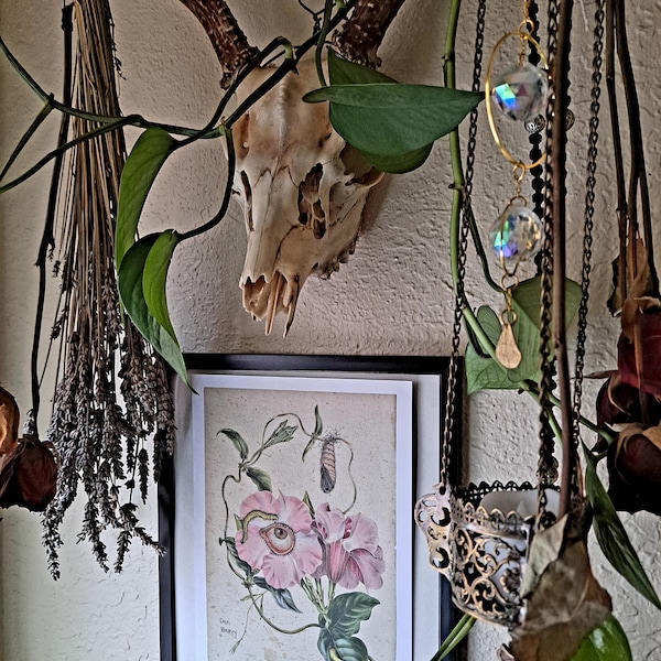 Odd Botanical Series Artwork by Dan Barry, blandfordia Grandiflora ...