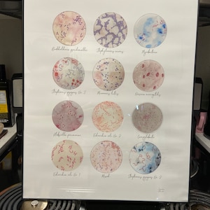 Microbe Collection, Bacteria, Bacteria Art, Science, Science Art ...