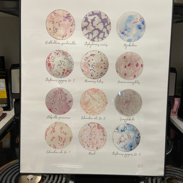 Microbe Collection, Bacteria, Bacteria Art, Science, Science Art ...