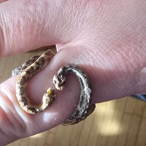 Custom Snake Ring - Unique Adjustable Polymer Clay Jewelry - Etsy
